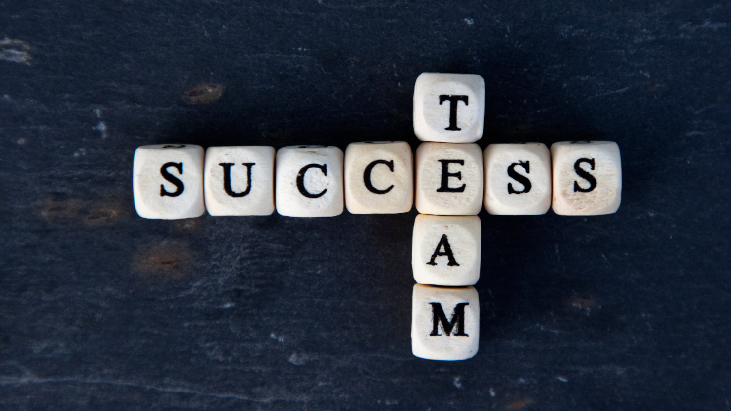 The Leadership Team Scale-Up: Building a High-Performing Team - The ...